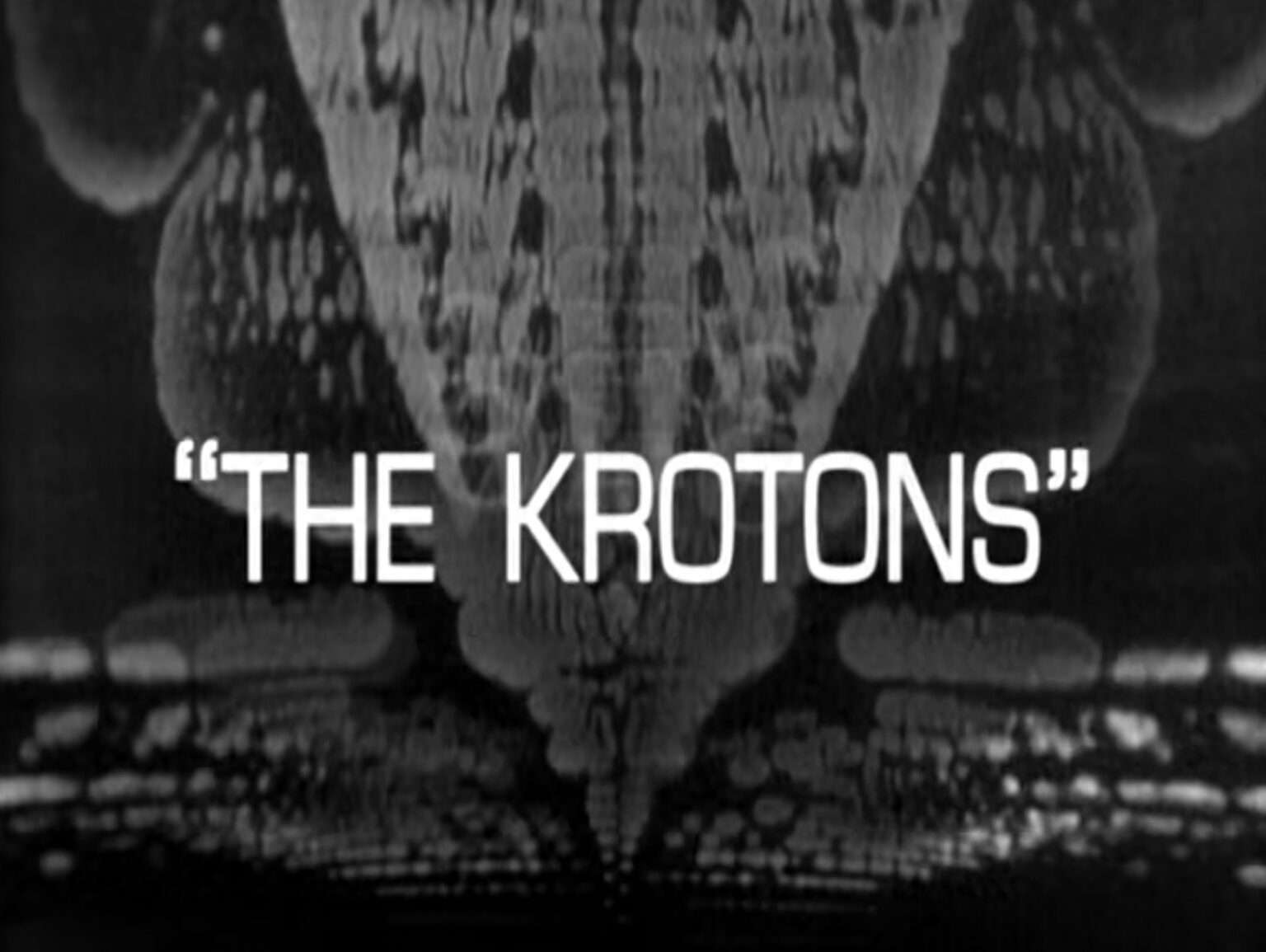 The Krotons – A Cup of Joe